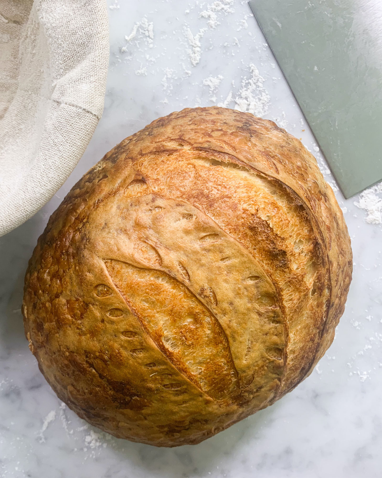 Farm Steady Sourdough Bread Making Kit | Haven Well Within
